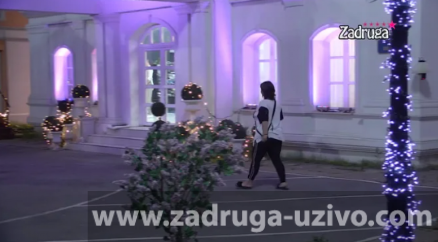 Nenad Macanović Bebica u rijalitiju dotakao dno života! - Zadruga Uživo Elita - TV Pink Rijaliti ...