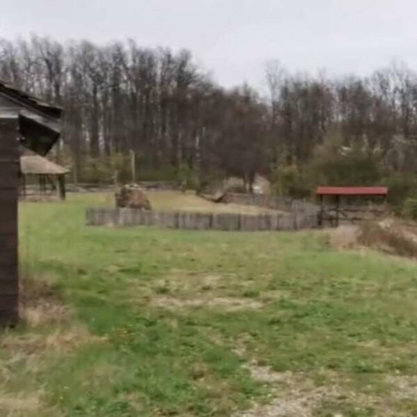 Ovo je IMANJE U LISOVIĆU na kome je snimana Farma, preteča rijalitija ...